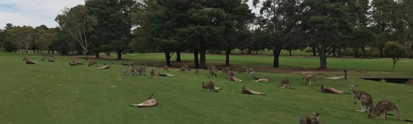 Gisbourne Golf Club – MDVGA